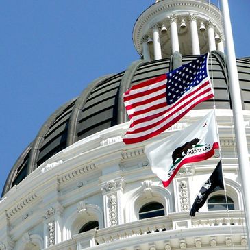 Capital Protection Group, Inc. - Security, Security Guards