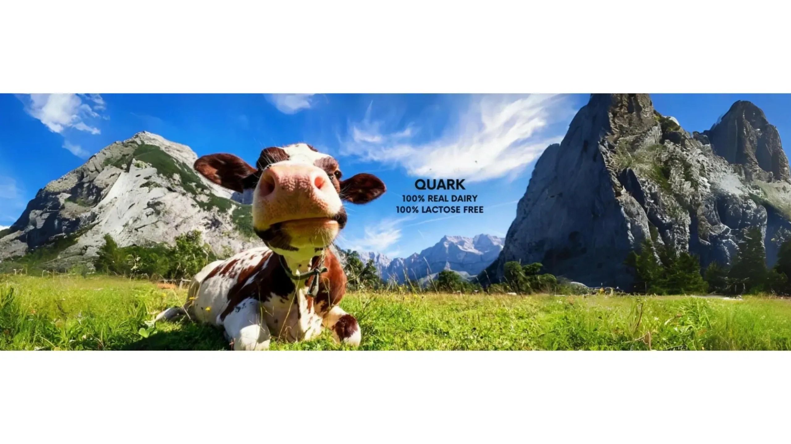 HOME [sweetcattle.com]