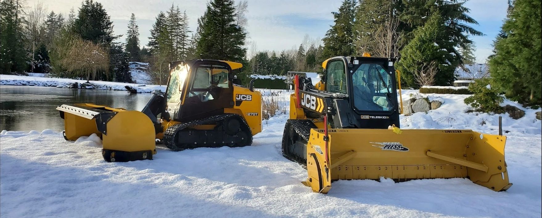 Professional Snow Removal Services