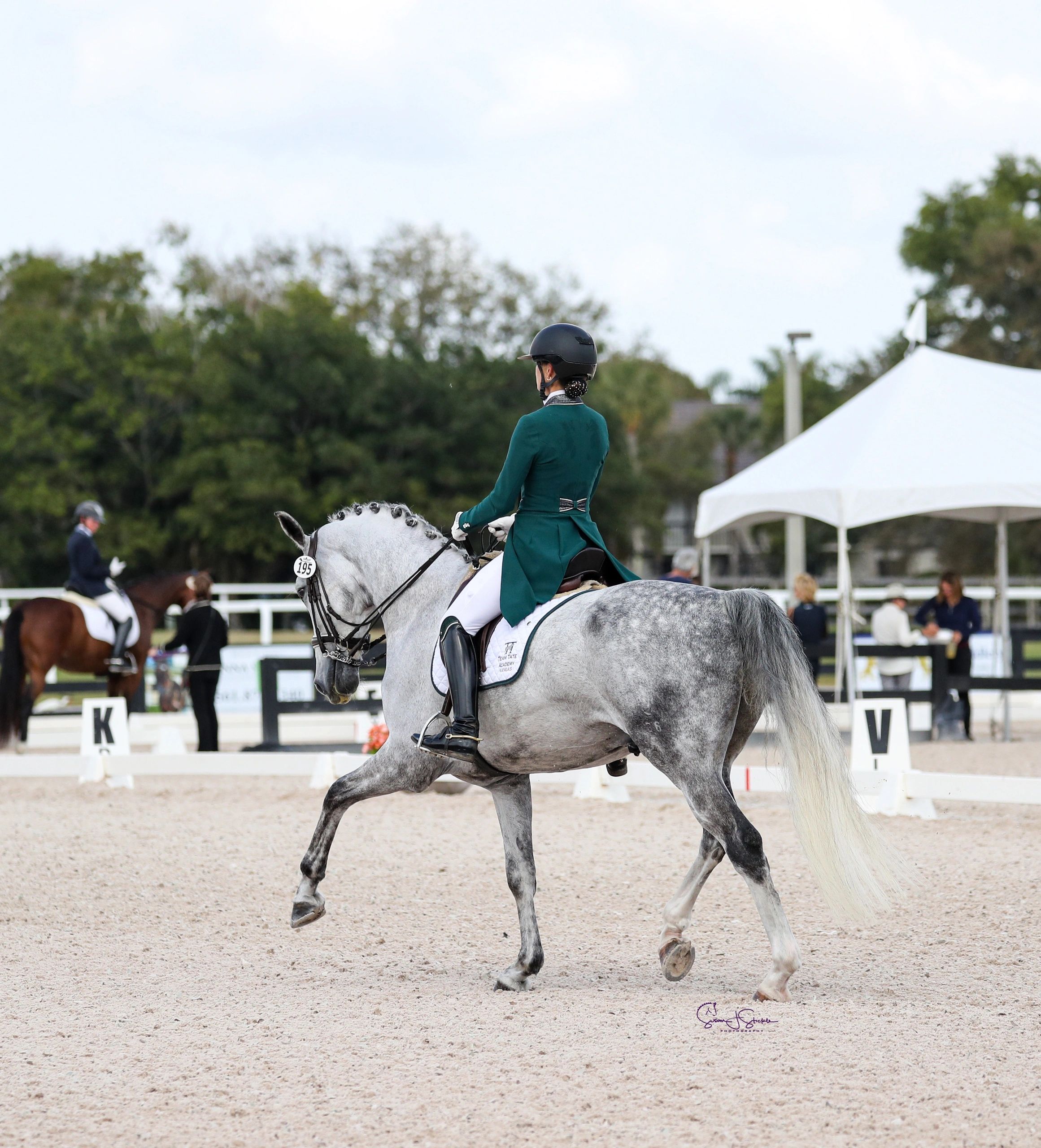 Ancient Arts Dressage