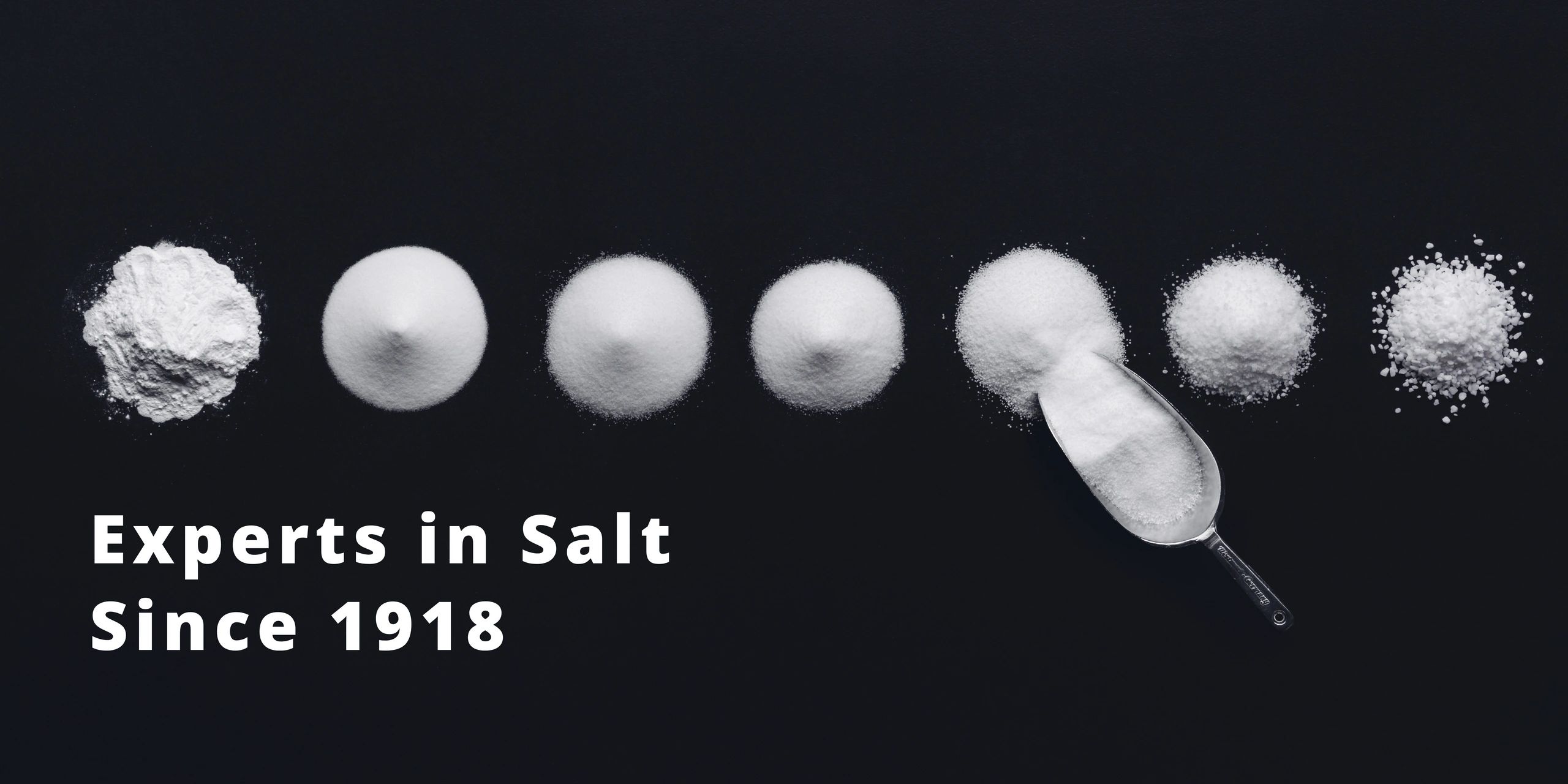 Salt Specialties - Salt, Food Salt, Pharma Salt