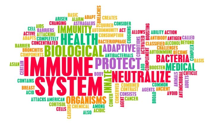 Boost Your Immune System! Simple Ideas for Health Building