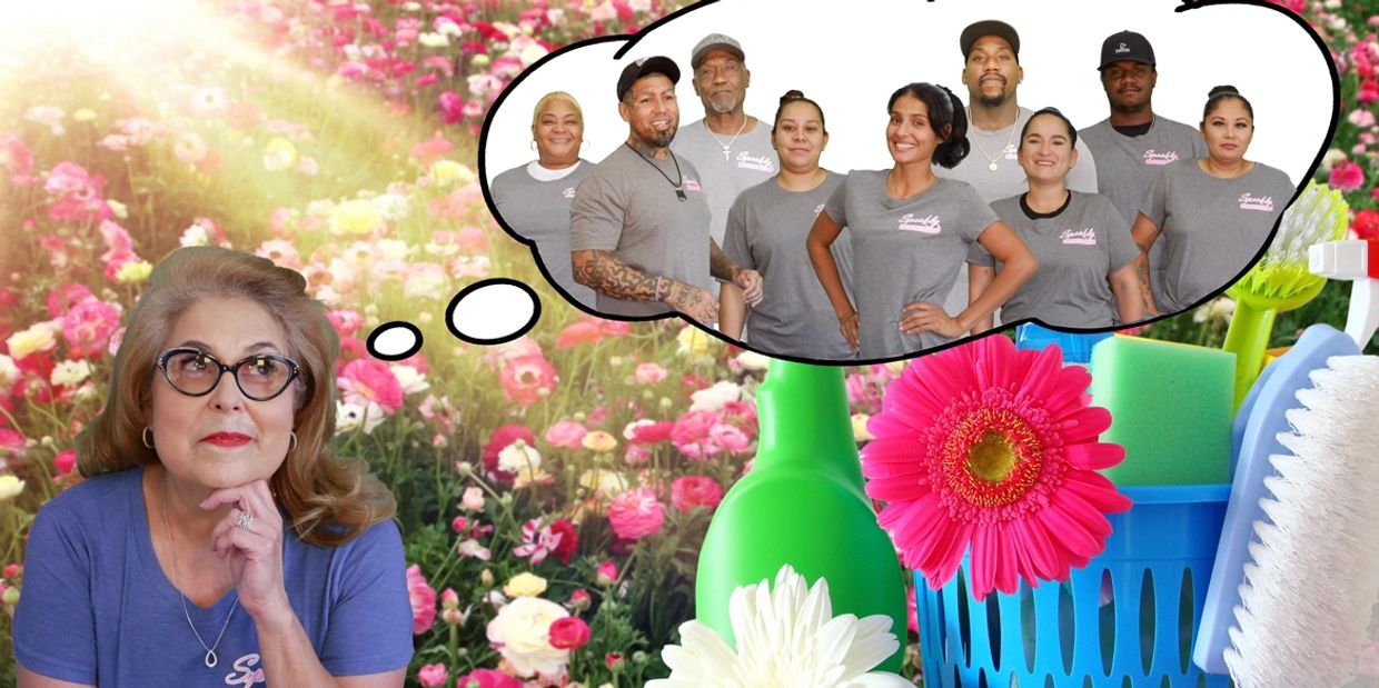 Sparkly Cleaning Services - online