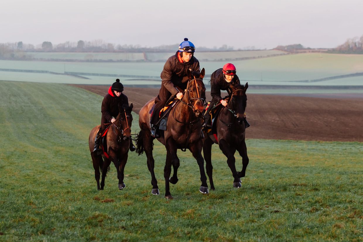 Keatley Racing - Racehorse Trainer, Horse Racing