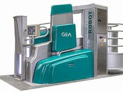 Gea Robotic Milking