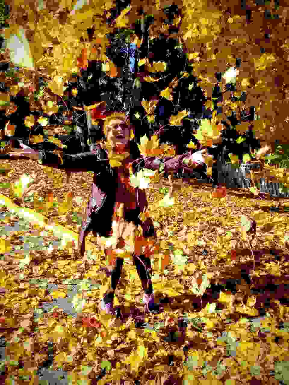 HOME | Tami Muller Coaching