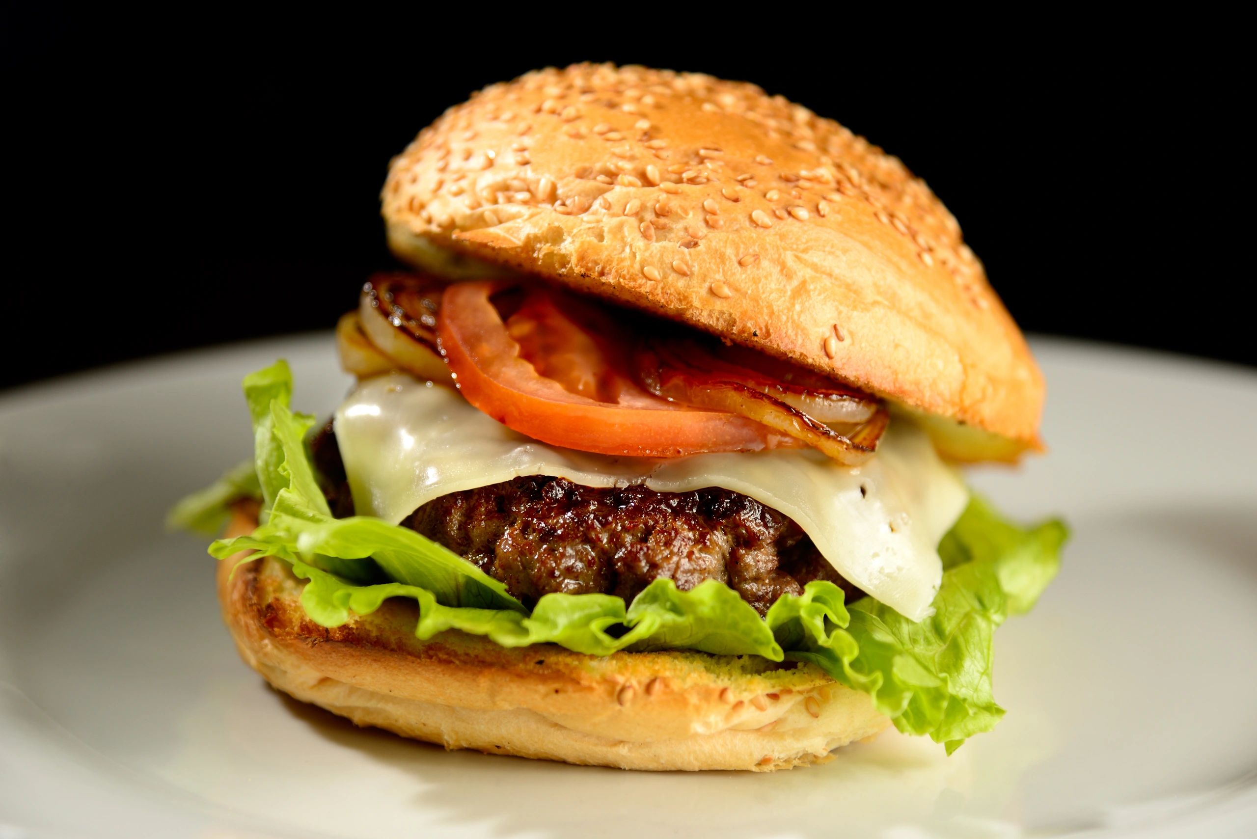 Mr. Wolfe's Burger Company, LLC.