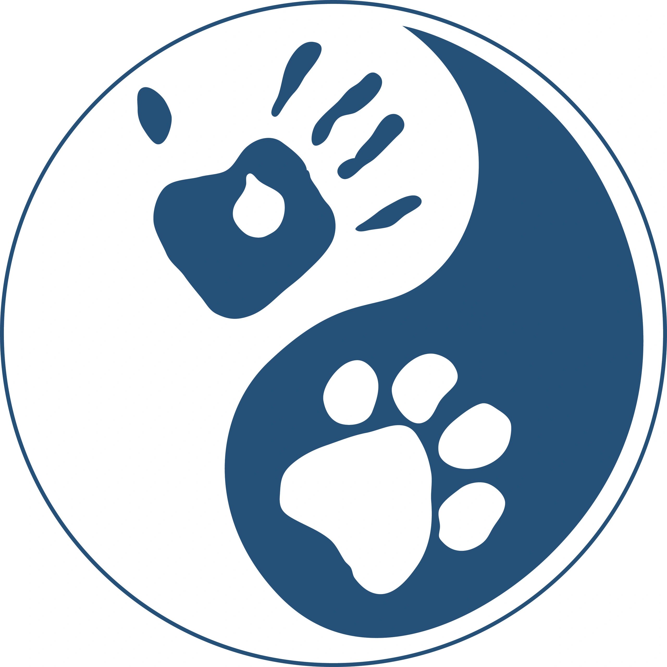 Pet Exercise - aquaticpaws.com