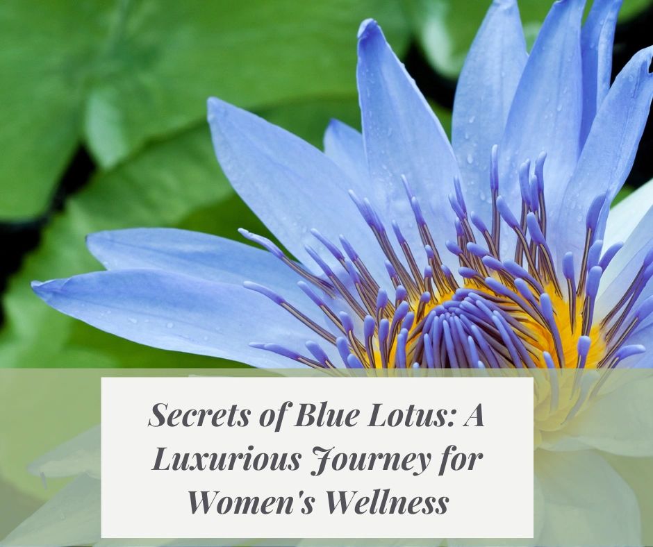 Secrets of Blue Lotus: A Luxurious Journey for Women's Wellness