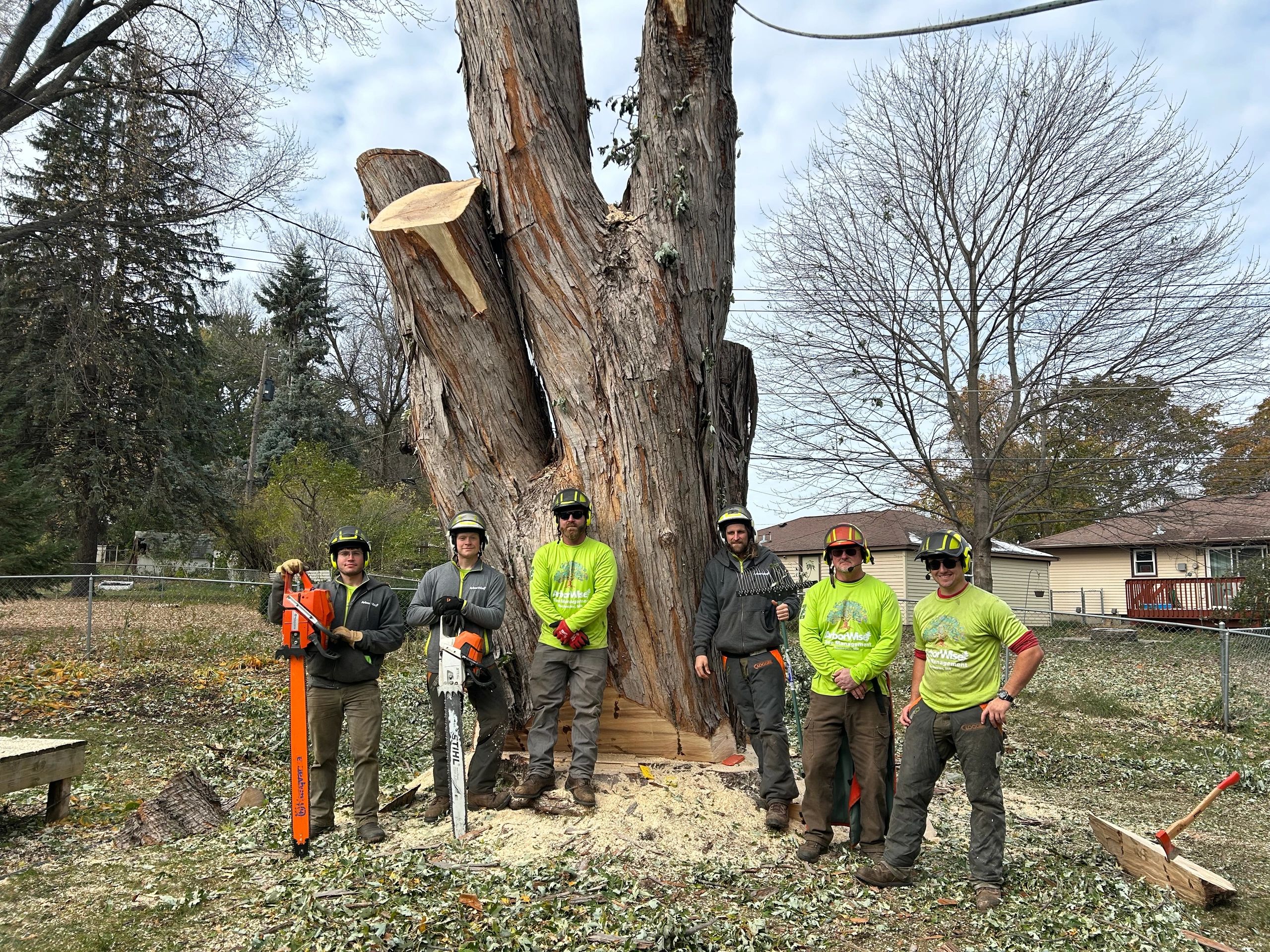 Arborwise Tree Management