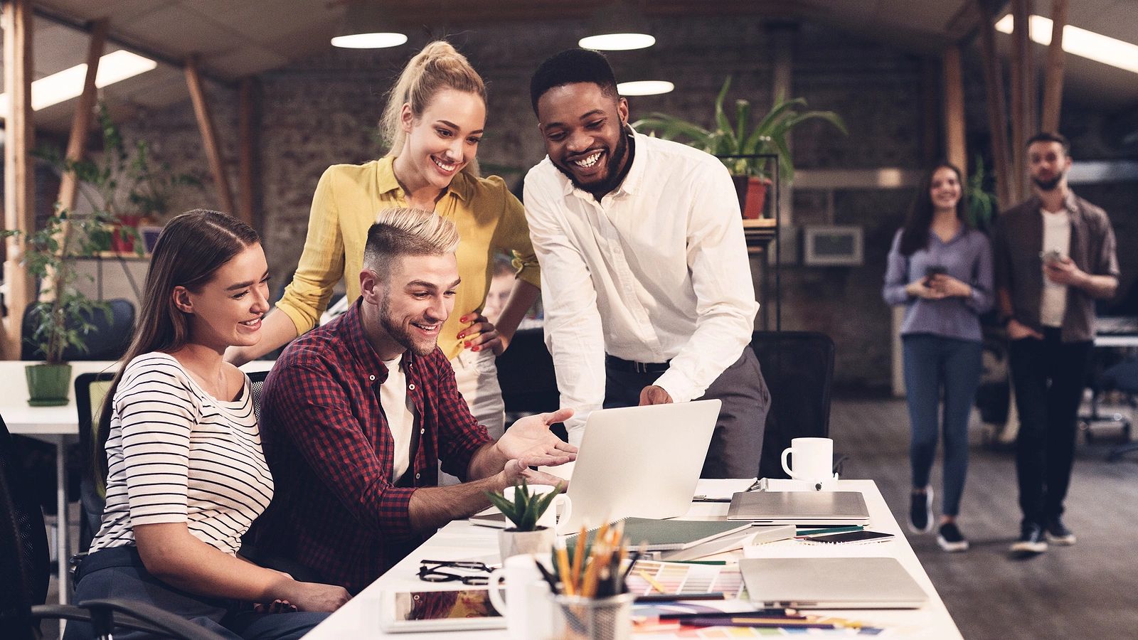 Red Bird Creative Marketing