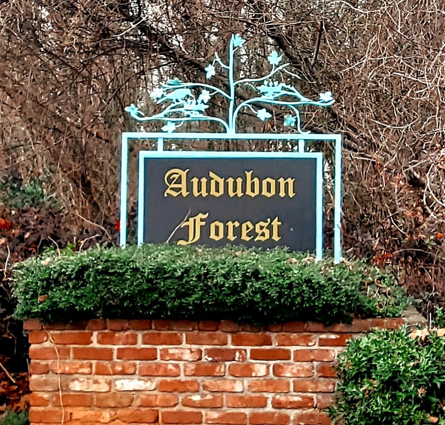 Audubon Forest Atlanta Neighborhood Association