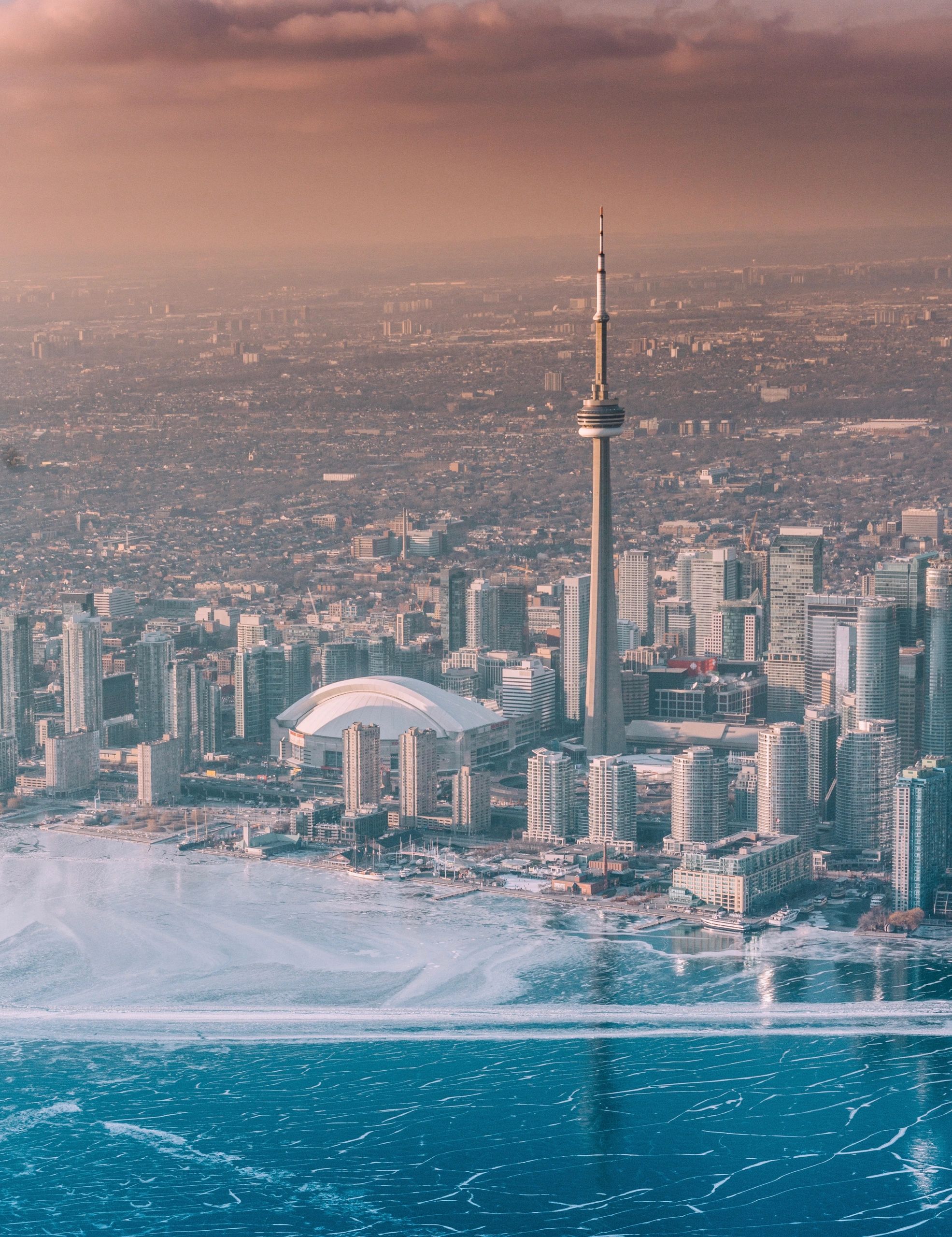 Toronto Education Consultants