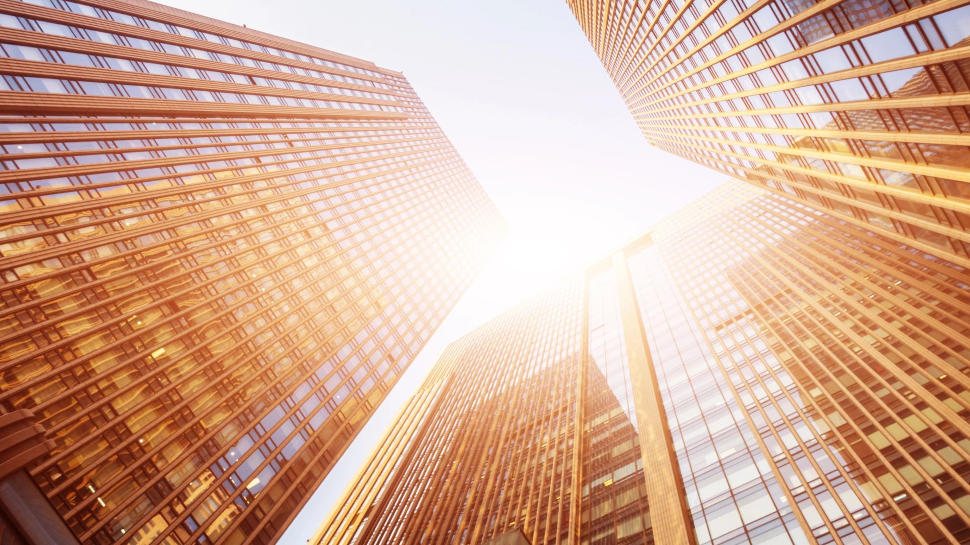 Rise Coaching & Consulting