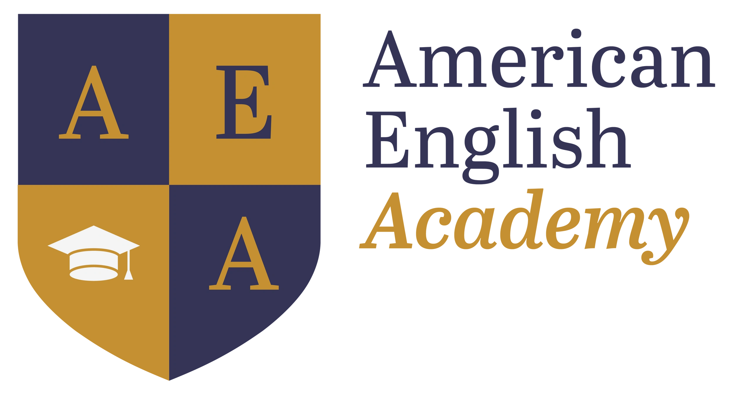 American English Academy