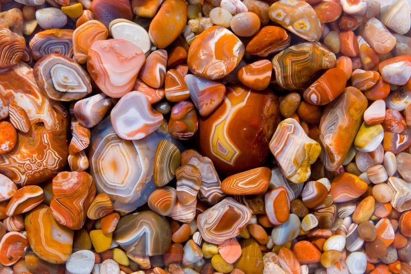 Agate Live Shows - Sample's Agate, Gem & Mineral Shop