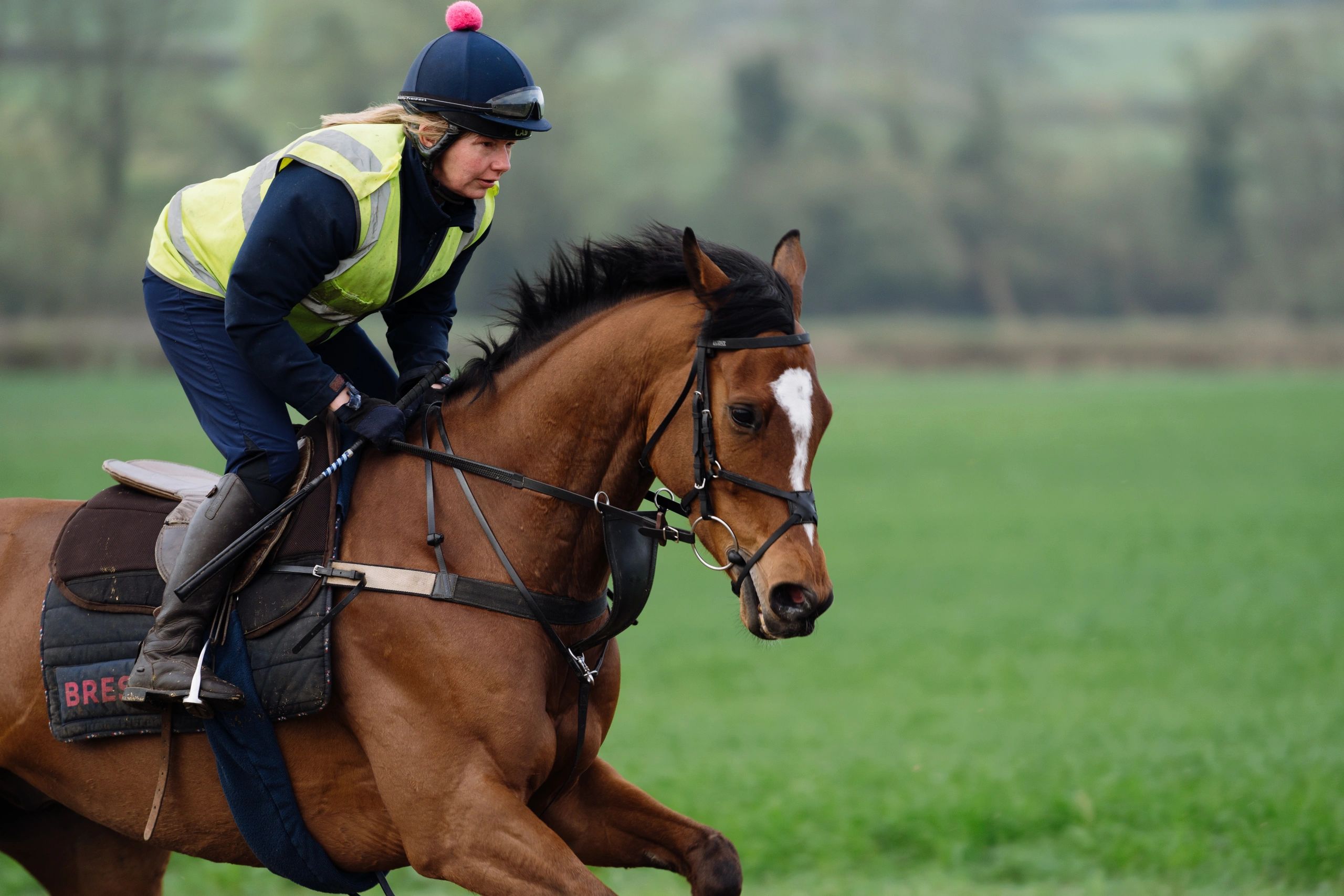 Mark Kelly Racing - Horse Racing Clubs, Horse Racing Syndicate