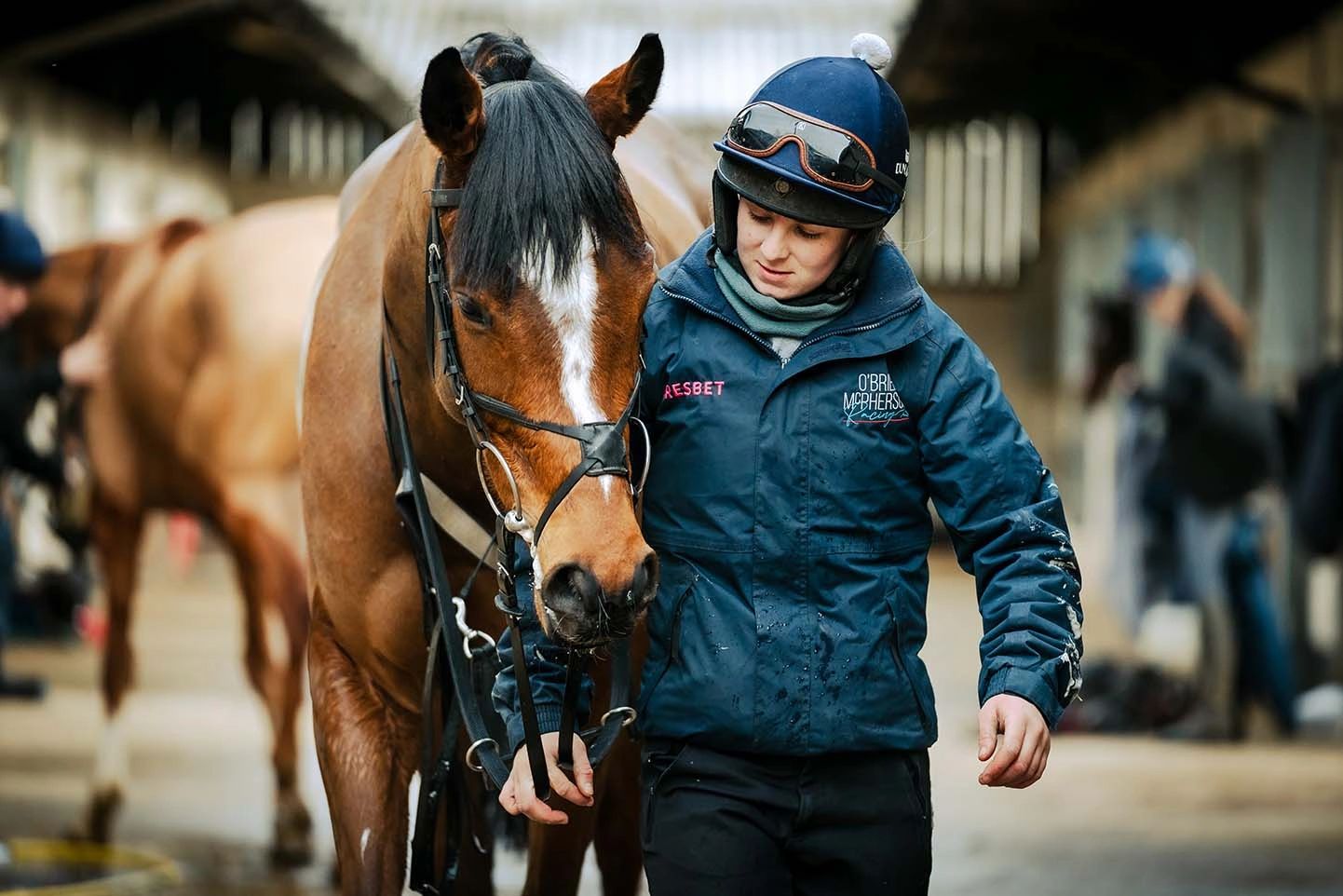 Mark Kelly Racing - Horse Racing Clubs, Horse Racing Syndicate