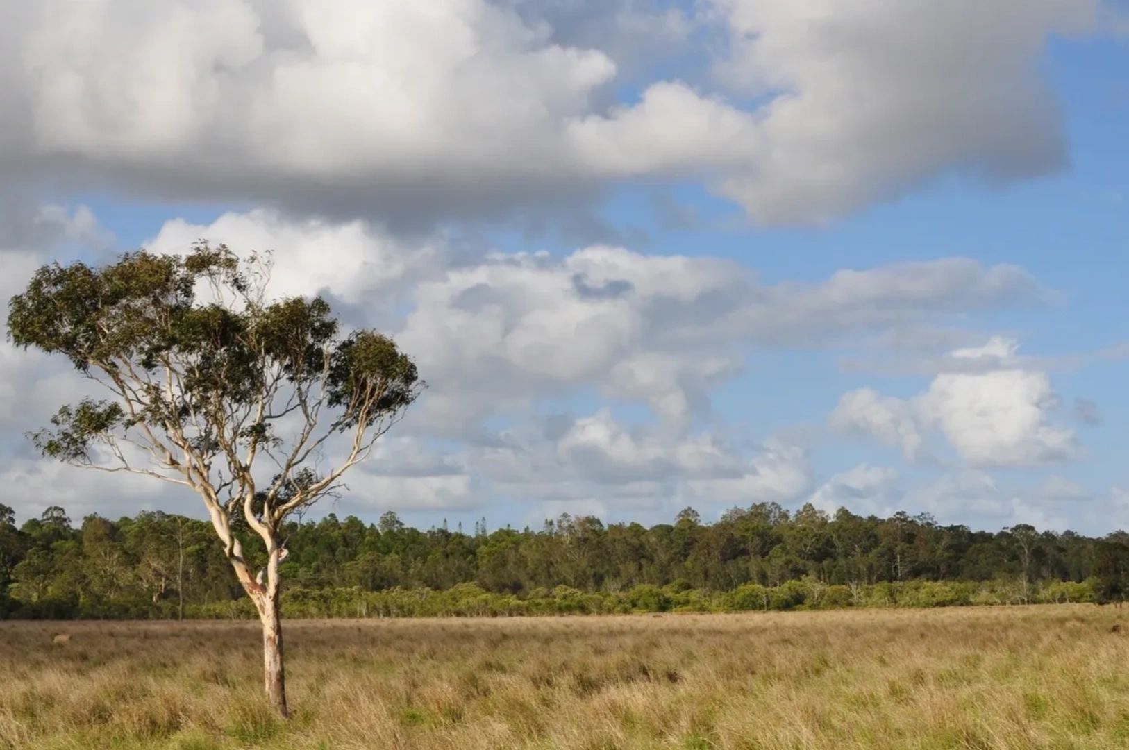 Advanced Telemetry Systems Australia - GPS Loggers, Tracking Wildlife
