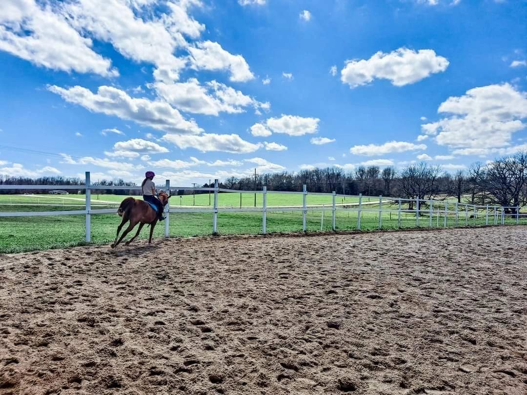 Horseback Riding - Springhill Stables LLC