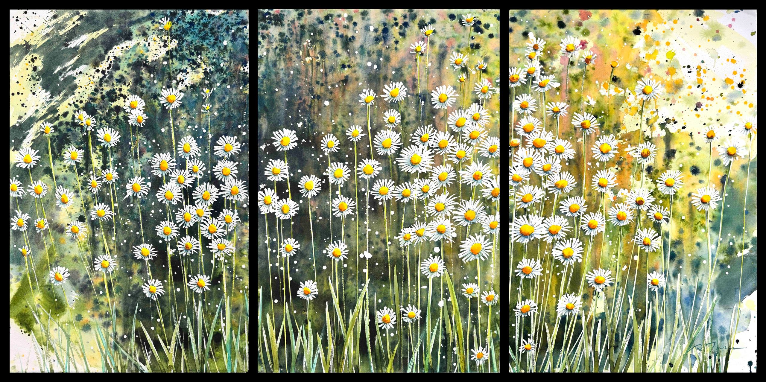 Terms and Conditions