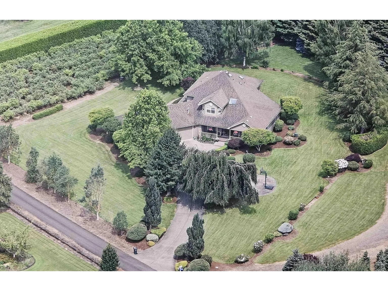 Fresh Blueberries - Sublimity Blueberries Farm