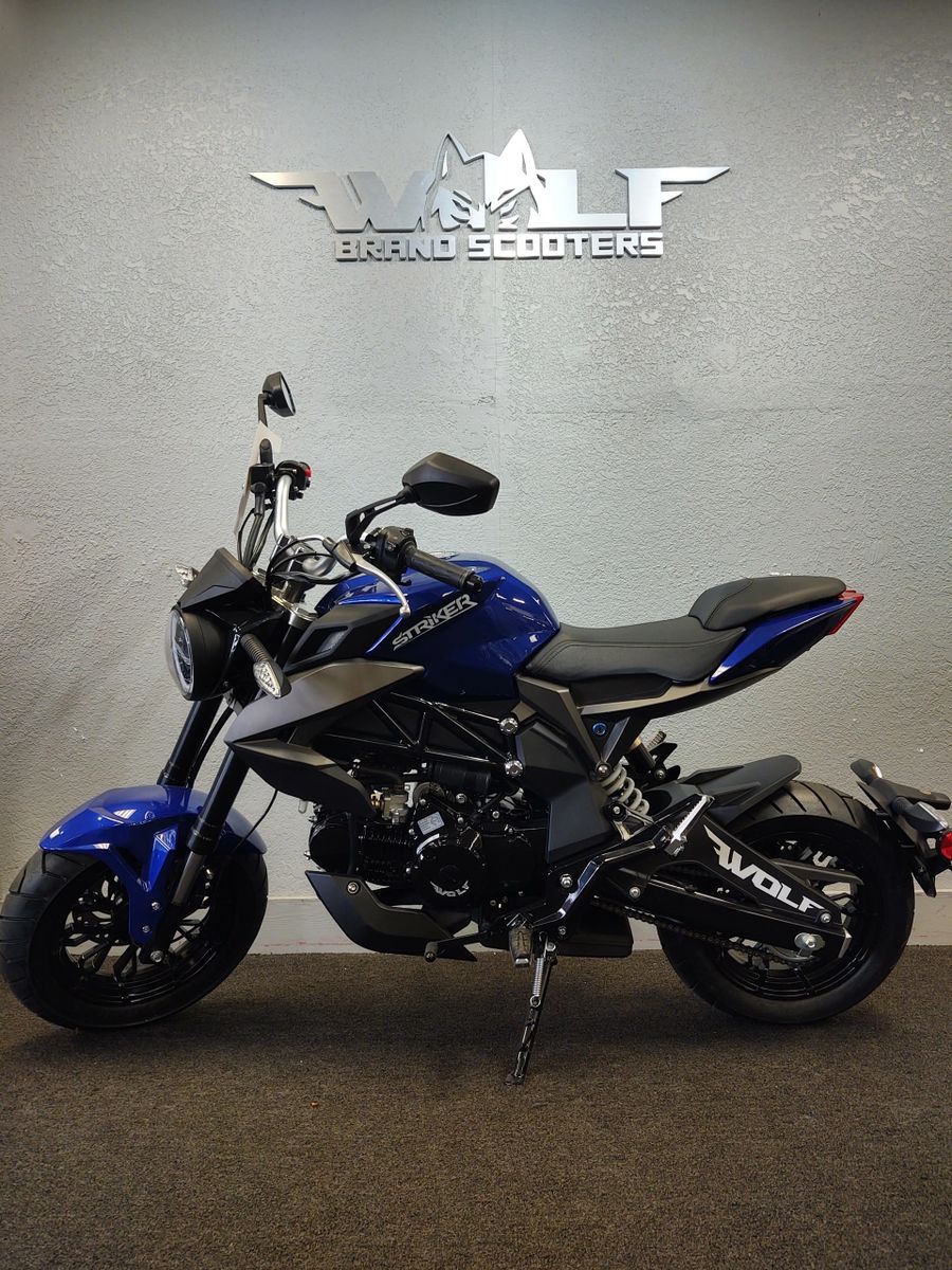 Wolf Brand Scooters 125cc Mini Bike | atelier-yuwa.ciao.jp