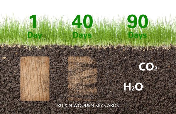 Hotel Key Card Wooden Key Card Factory - RUIXINRFID