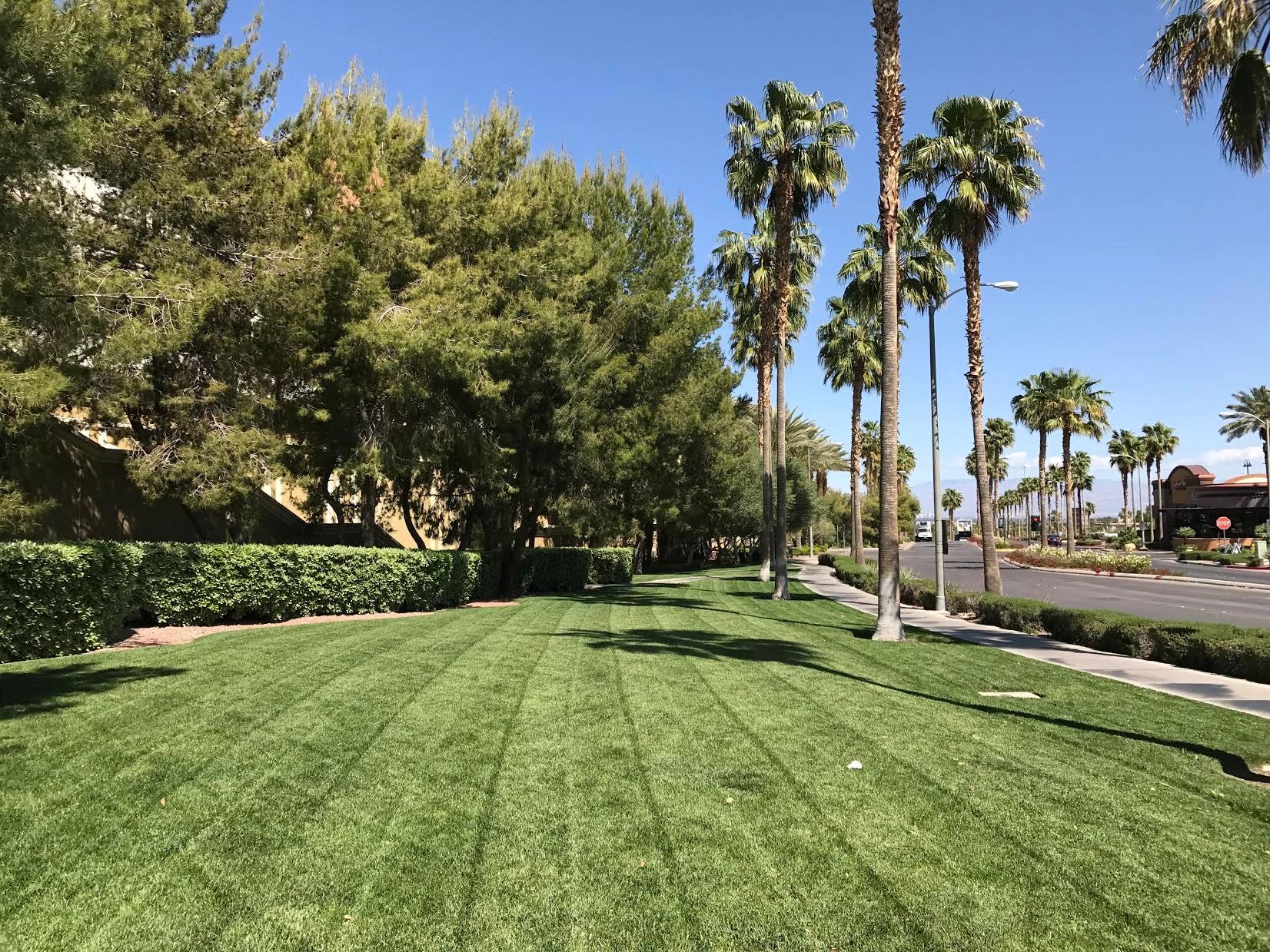 Advanced Maintenance Group