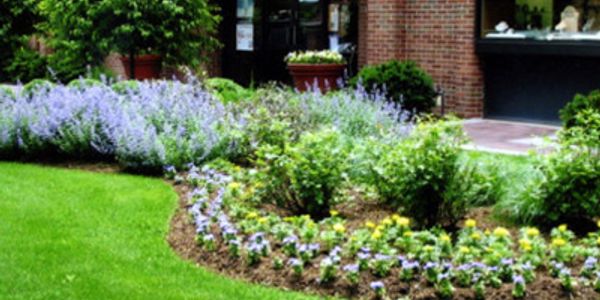 Advanced Maintenance Group