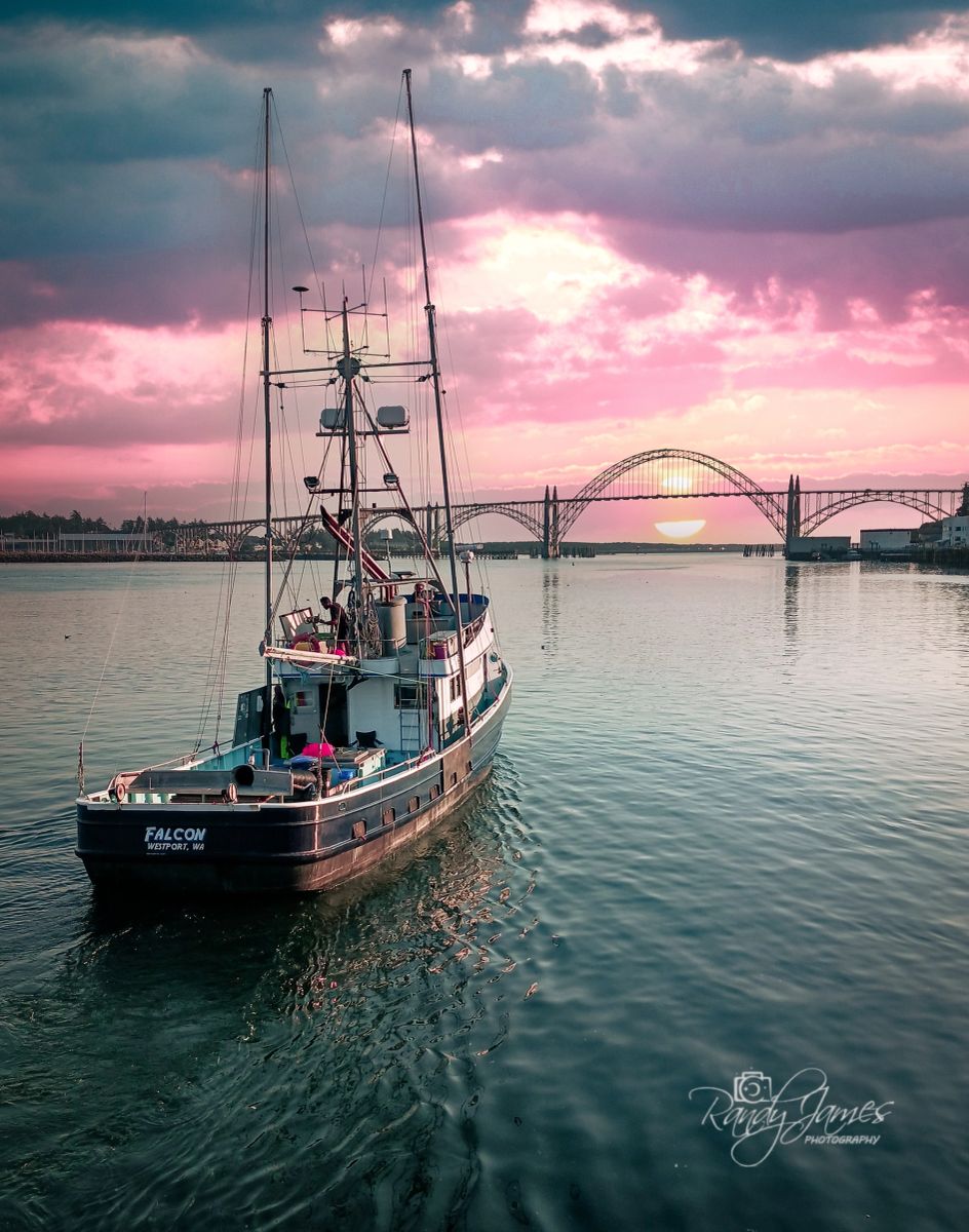 F/V Falcon