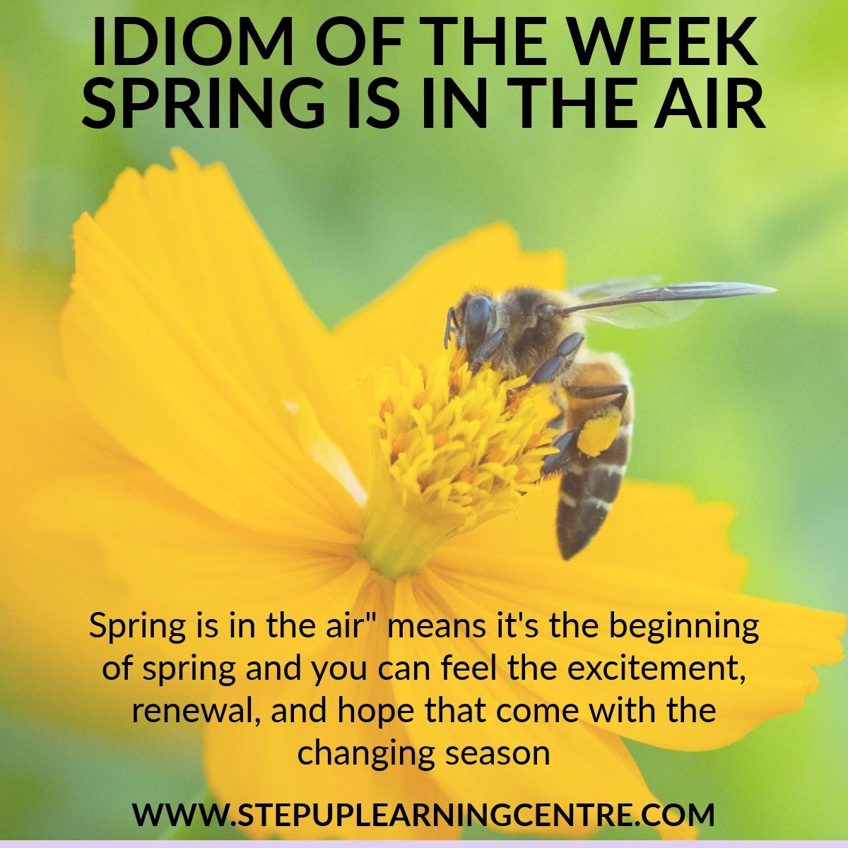 Idiom of the week: Spring is in the air