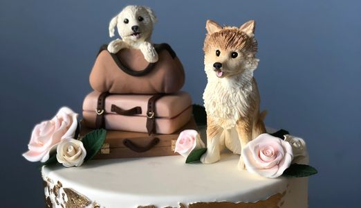 Andy Cakes NYC - Custom Cakes - New York, New York