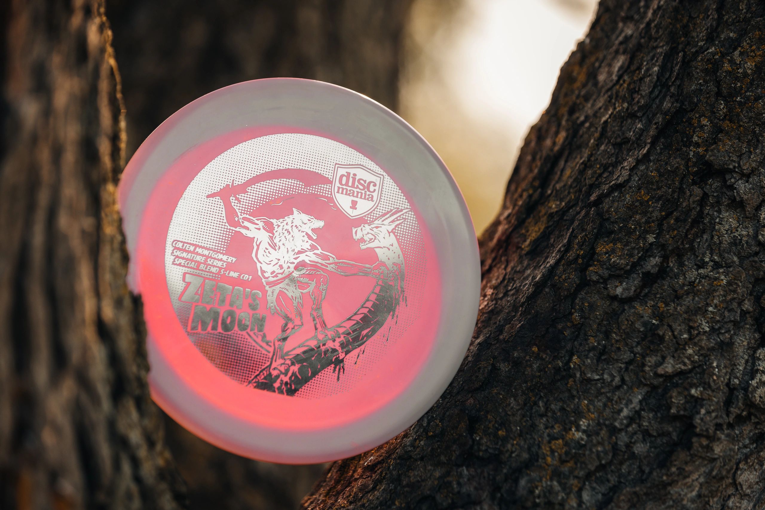 Throw WYO - Disc Golf, Holiday Sale