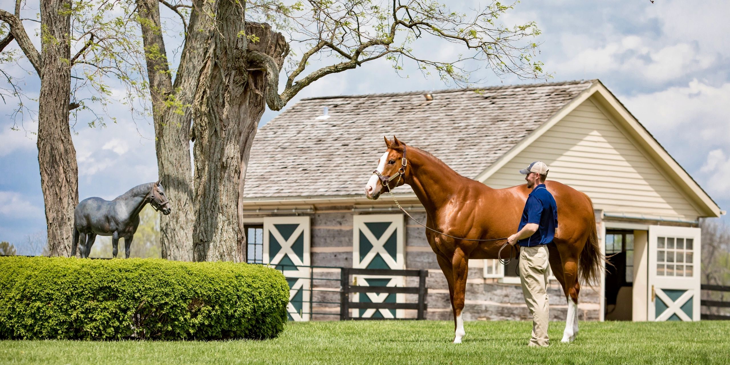 Blue Hen Thoroughbreds, LLC