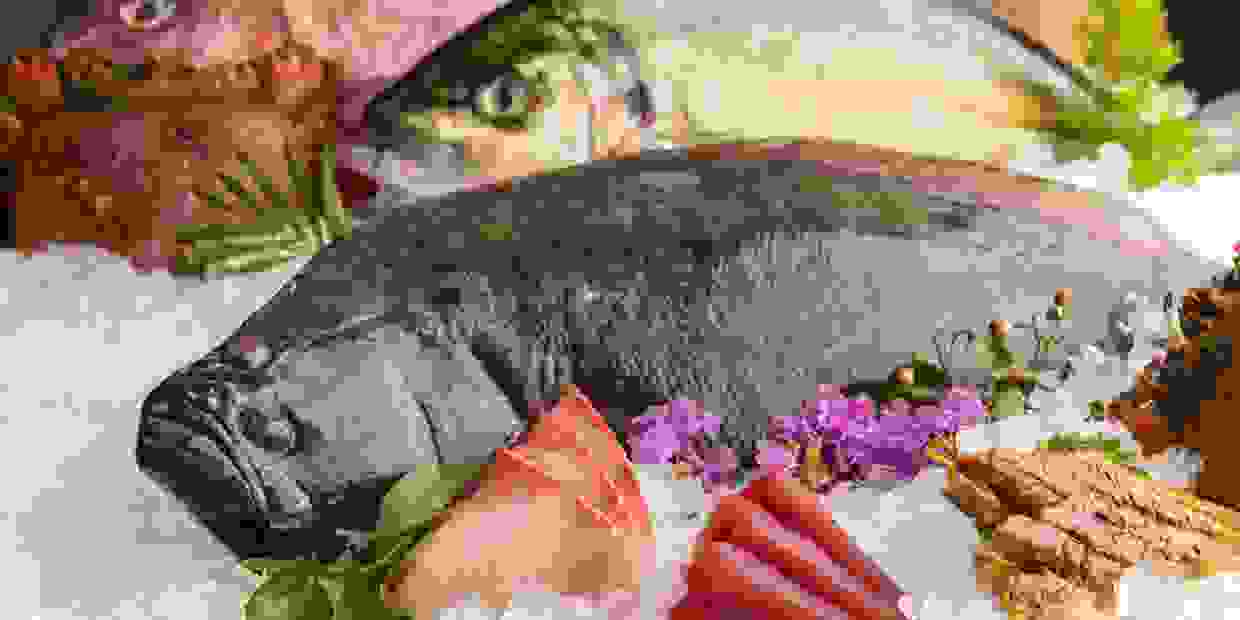 Fish for Sushi Sashimi - The Perfect Fish