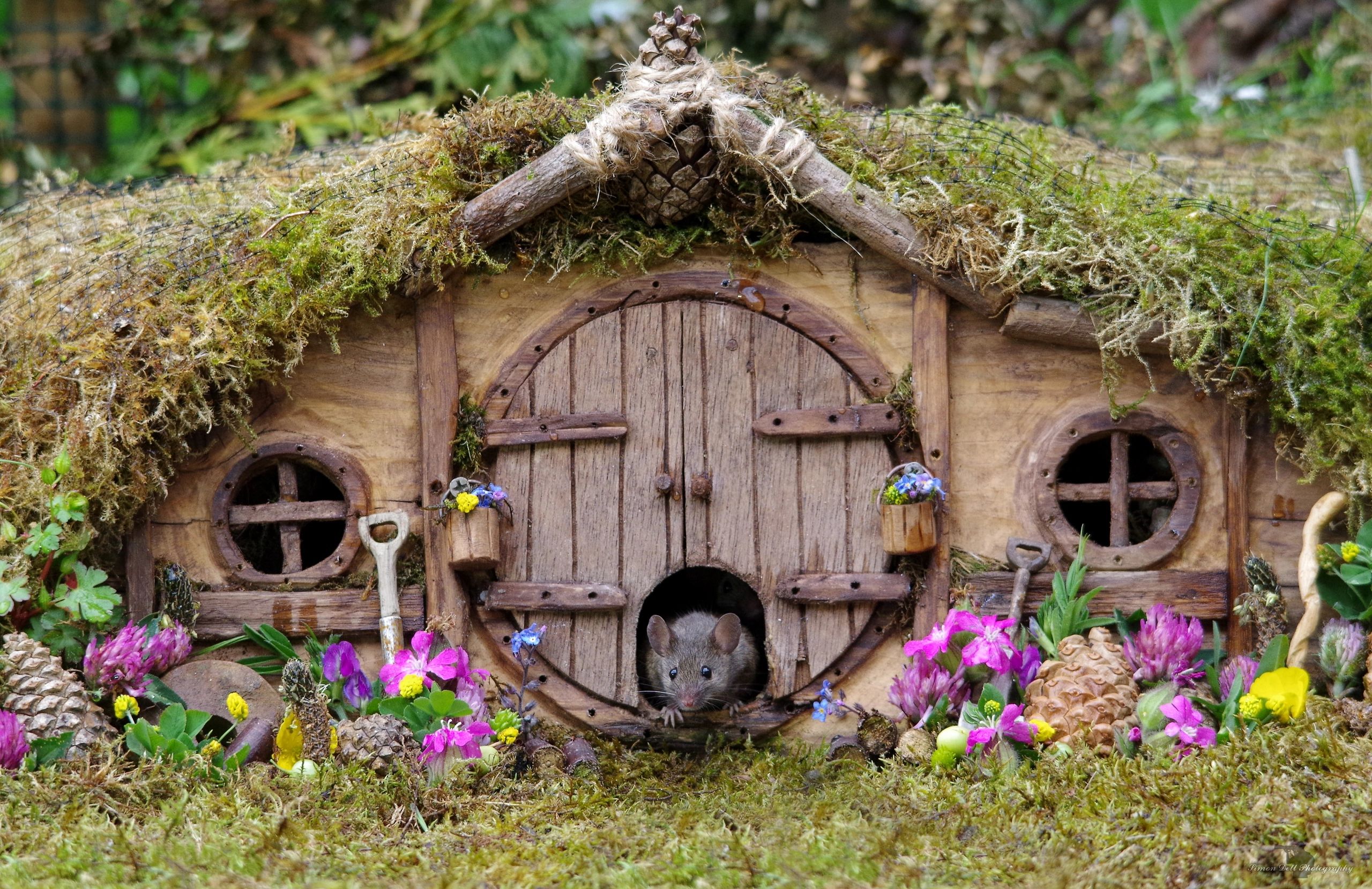 George the Mouse in the Log Pile House
