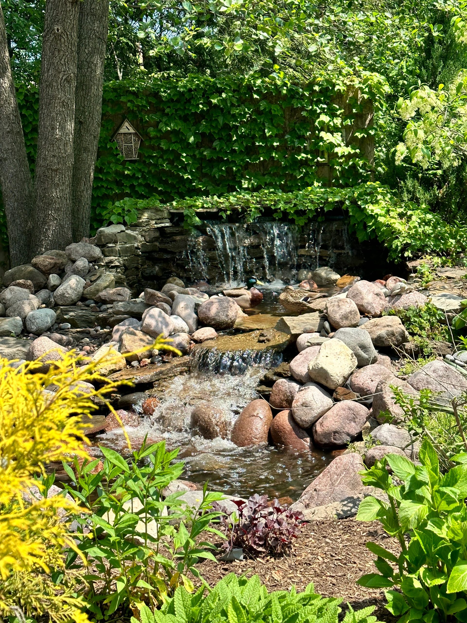 Eagle Landscape Services Arlington Heights