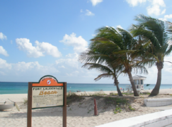 Home Page [algermitchell.com]