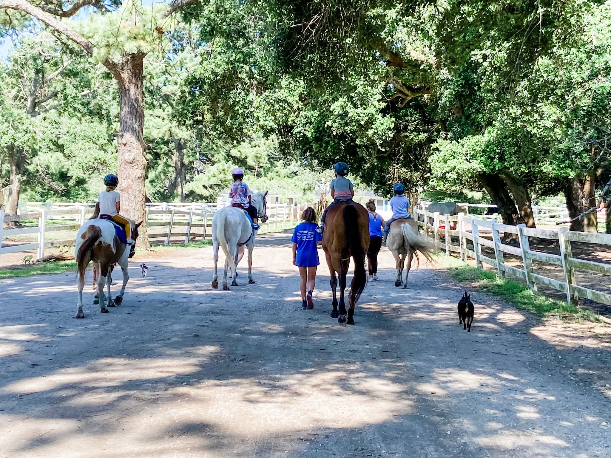 Horse Camp with Eterna Riverview Stables