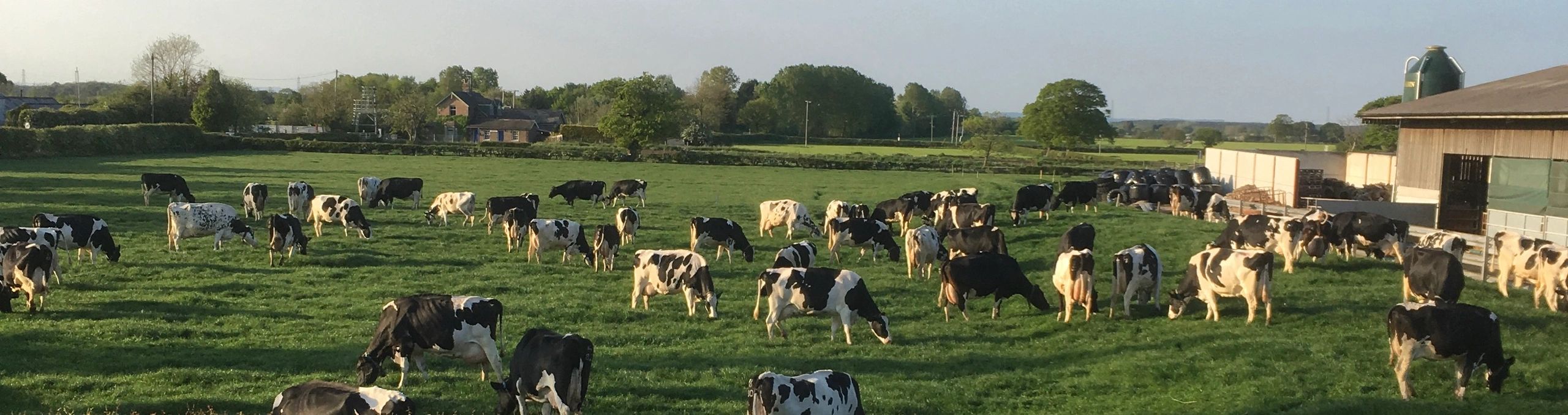 Mootrition | agmatters