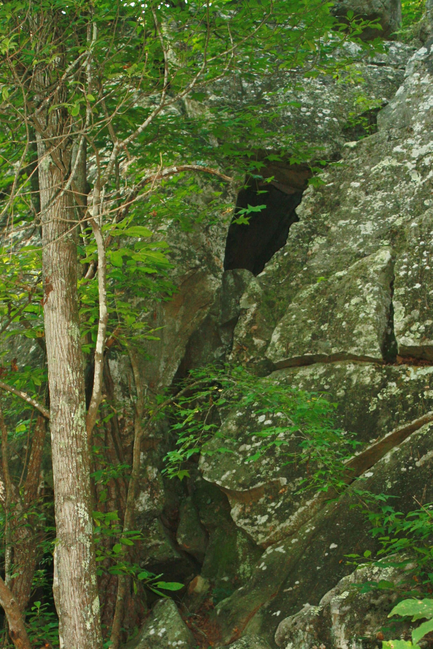 In the Cleft of the Rock