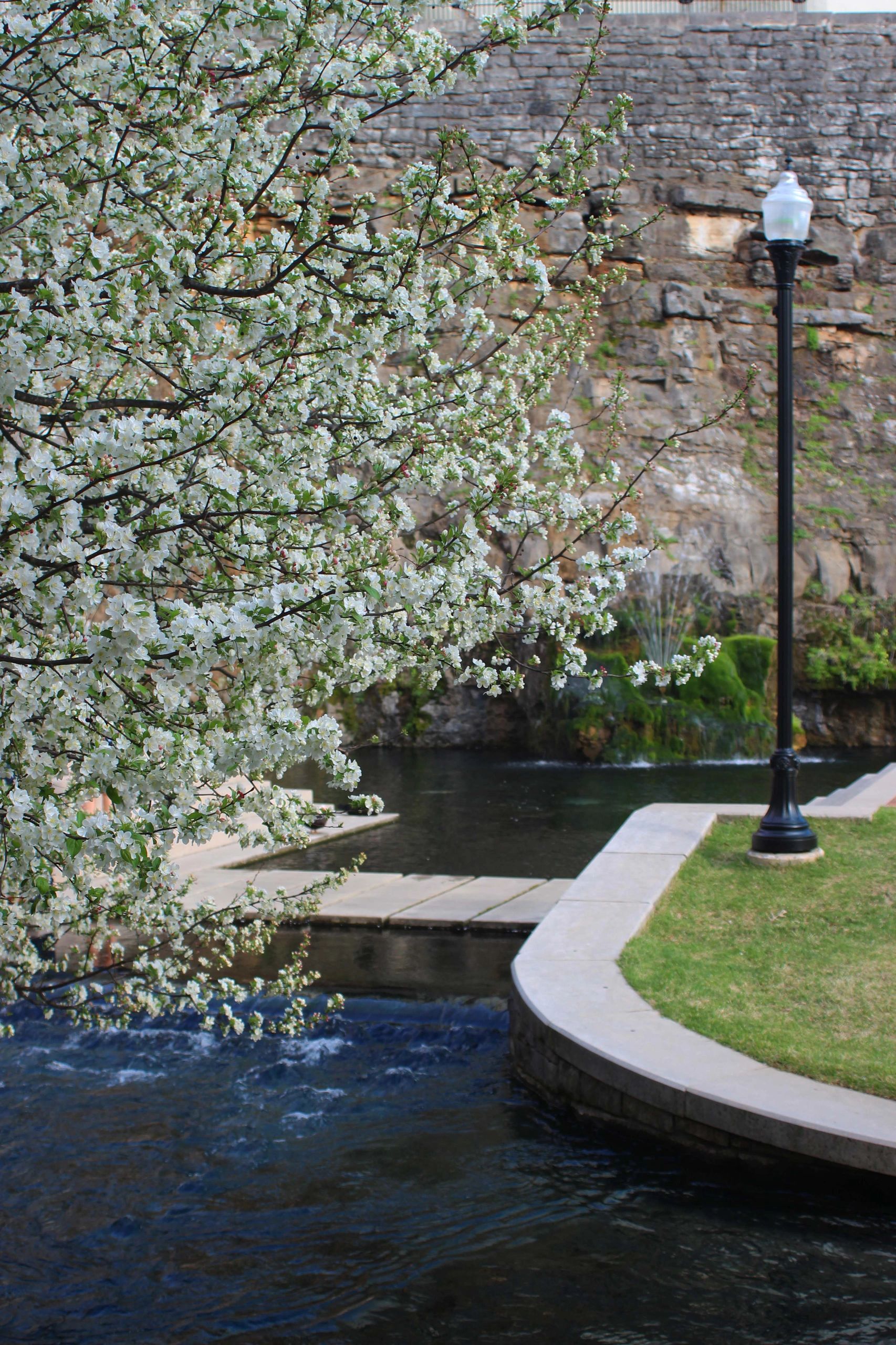 The Spring That Never Runs Dry