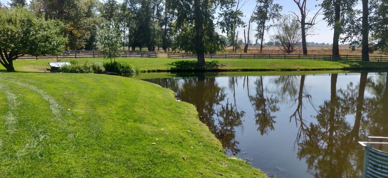 Top Tier Pond Care | Blue Moose Ponds