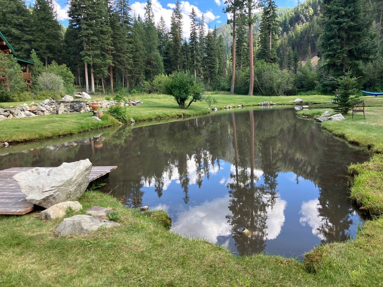 Top Tier Pond Care | Blue Moose Ponds