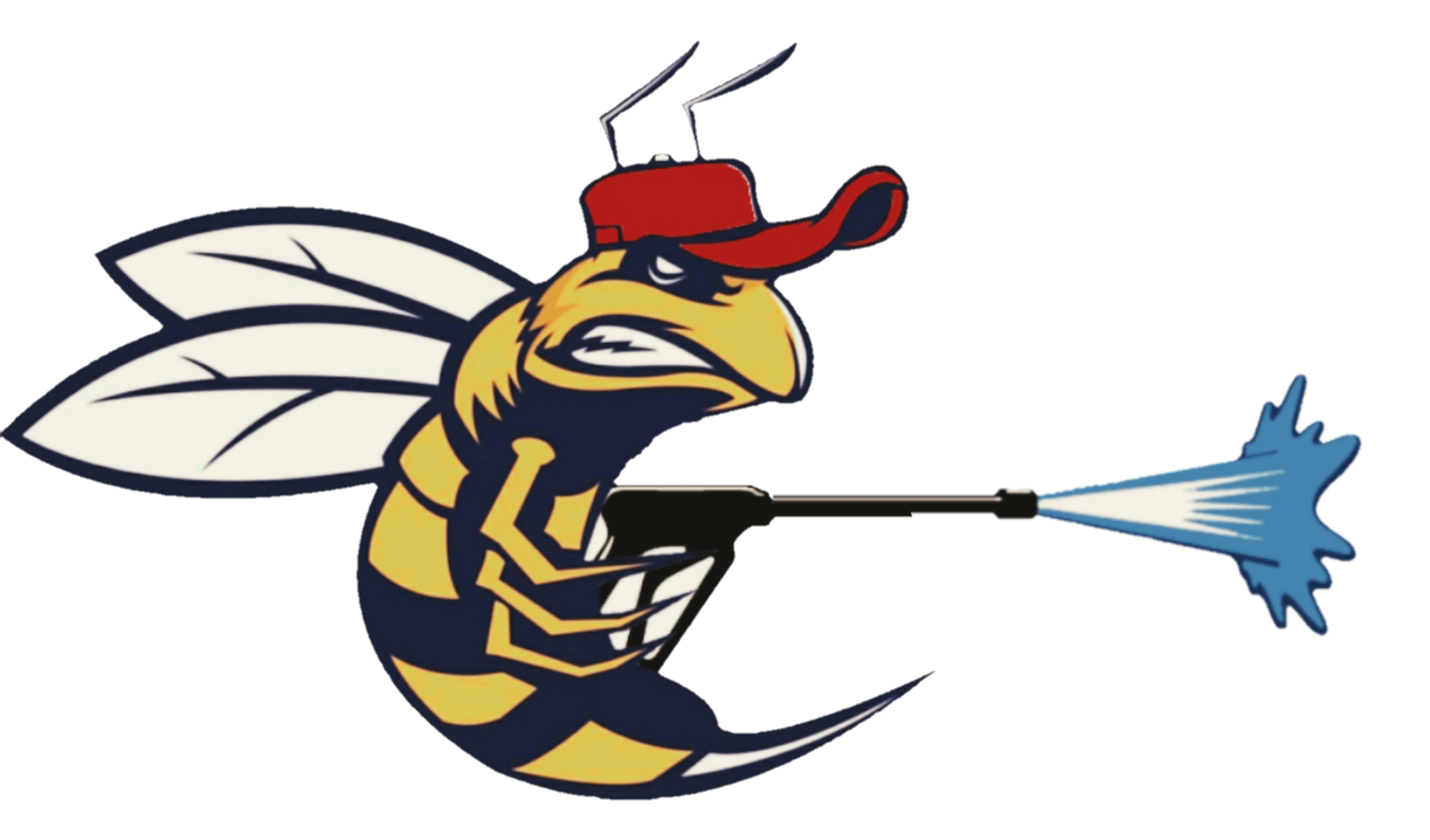 Bee Clean Power Wash