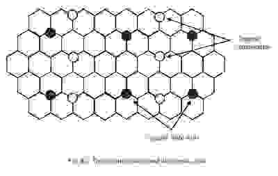 The Organic State | The Organic Society