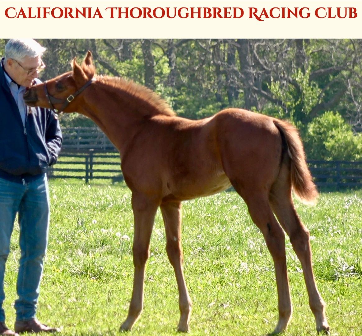 California TB Racing Home