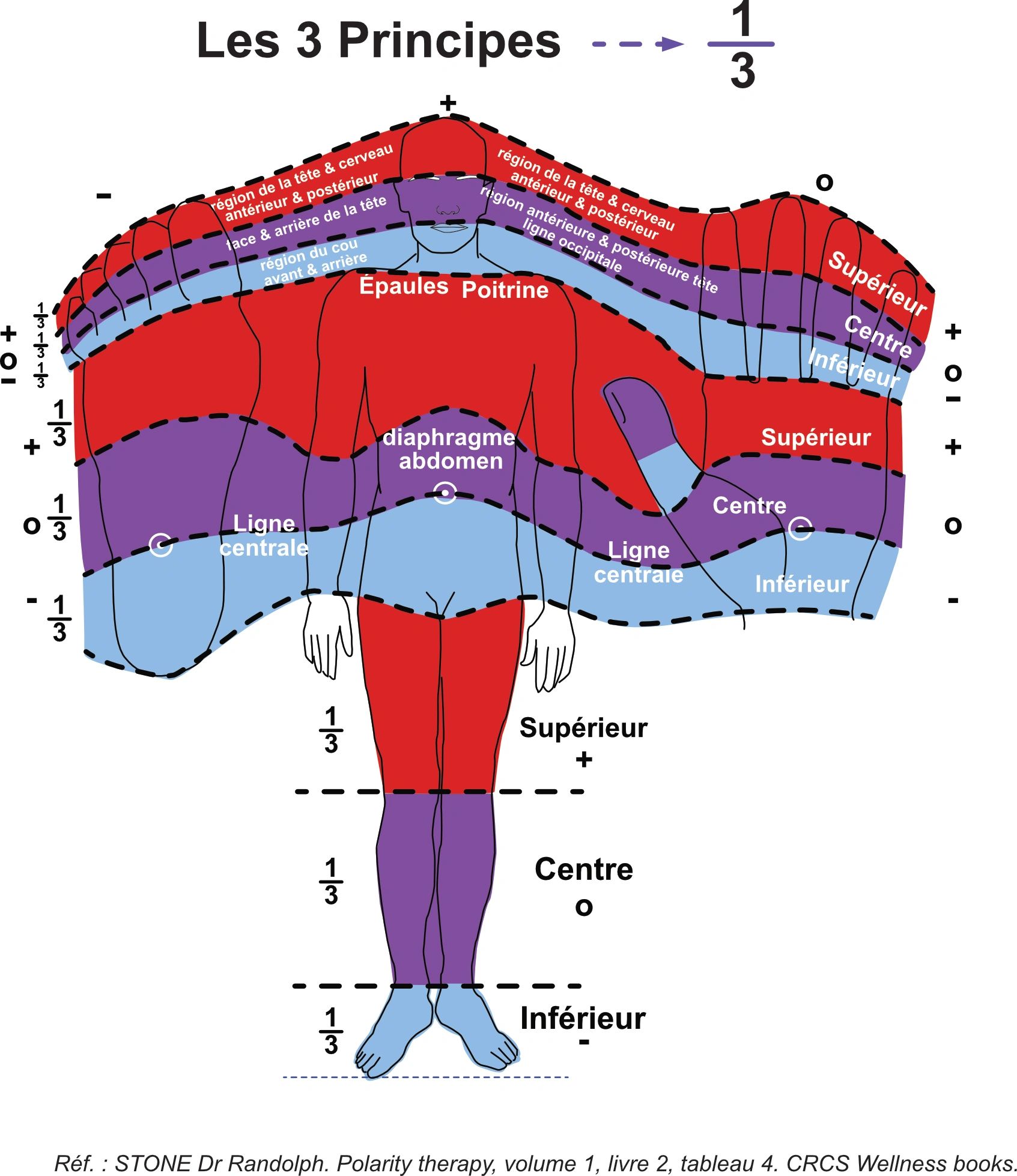 Les 3 Principes de la Polarité