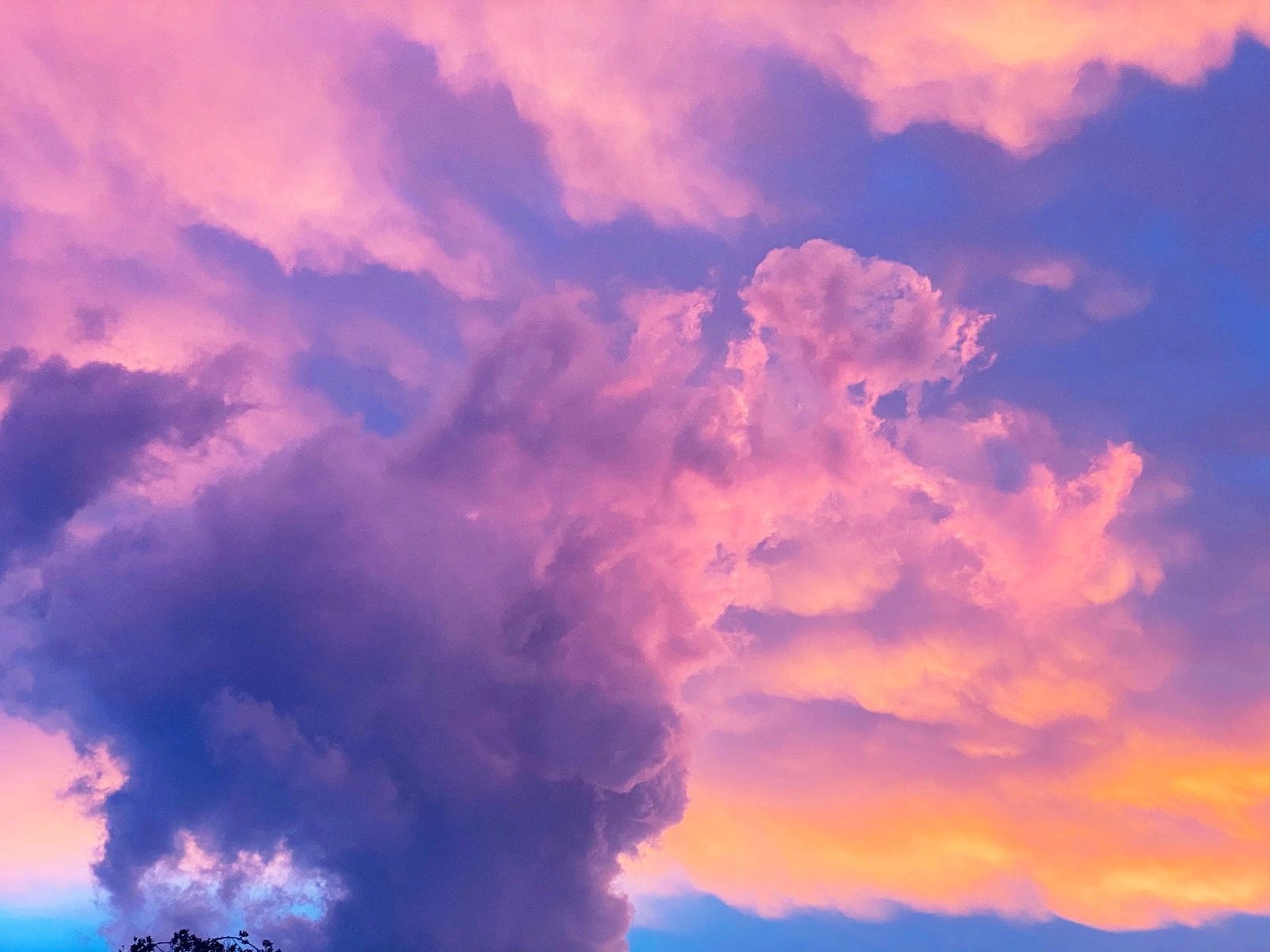 About | Tiny Starshine